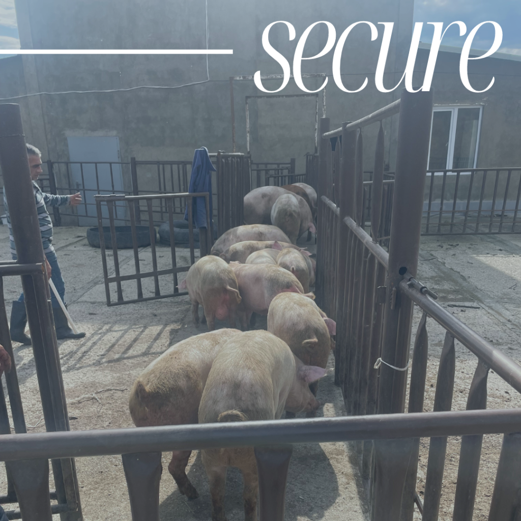 Creating a Secure, Stable, & Successful Armenia – The Paros Foundation